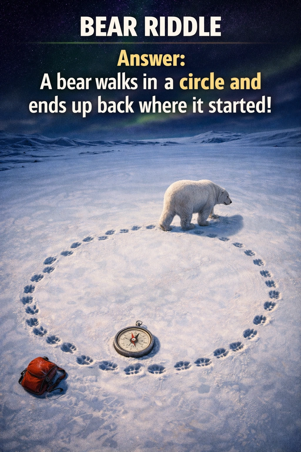 Bear Riddle: Fun, Clever, and Mind-Bending Bear-Themed Puzzles ...